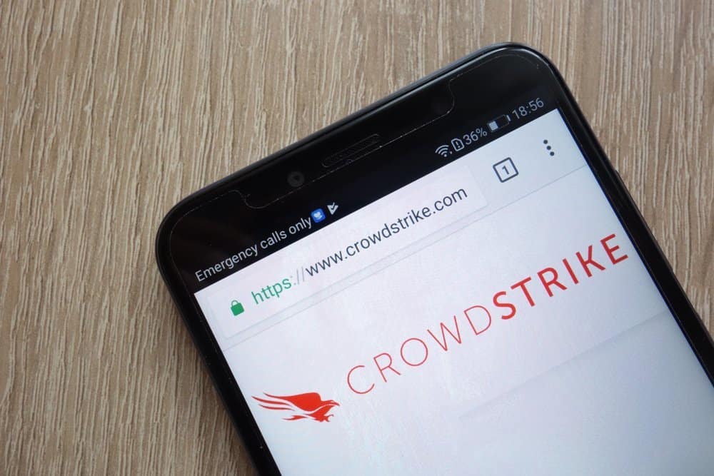 CrowdStrike launches service to check threat level - Techzine Global