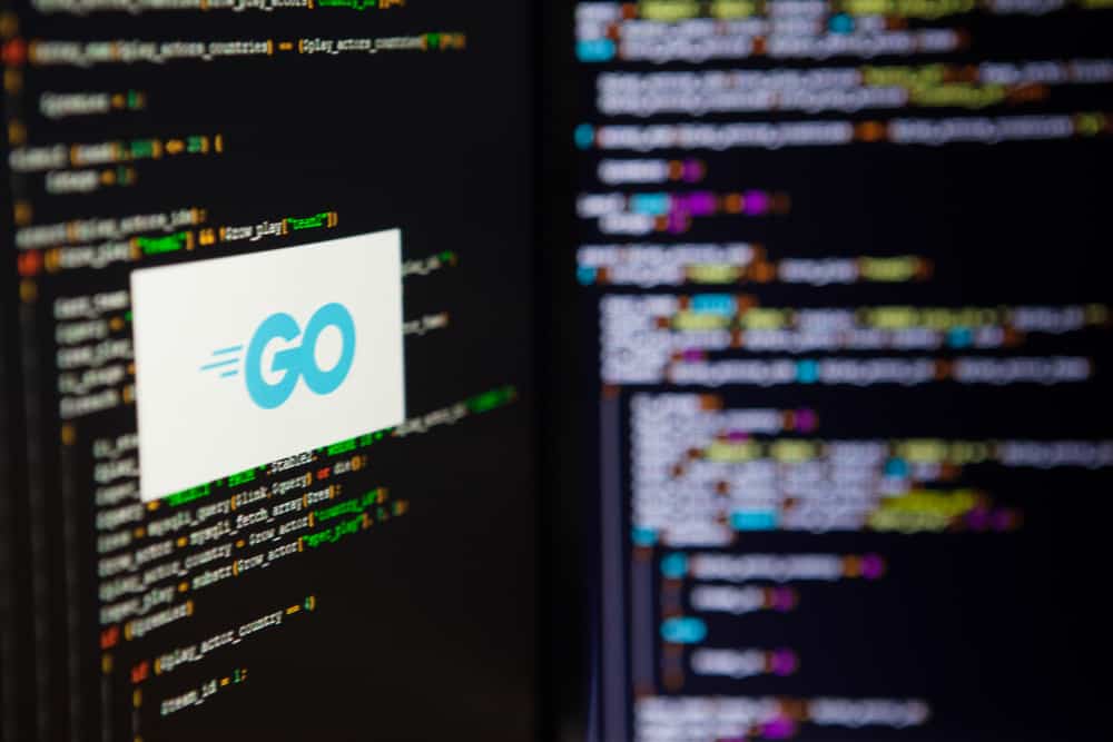 Programming language Go gets vulnerability scanner - Techzine Global