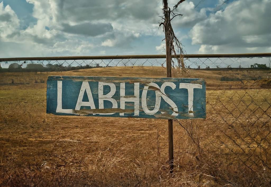 How did Phishing-as-a-Service group LabHost operate? - Techzine Global
