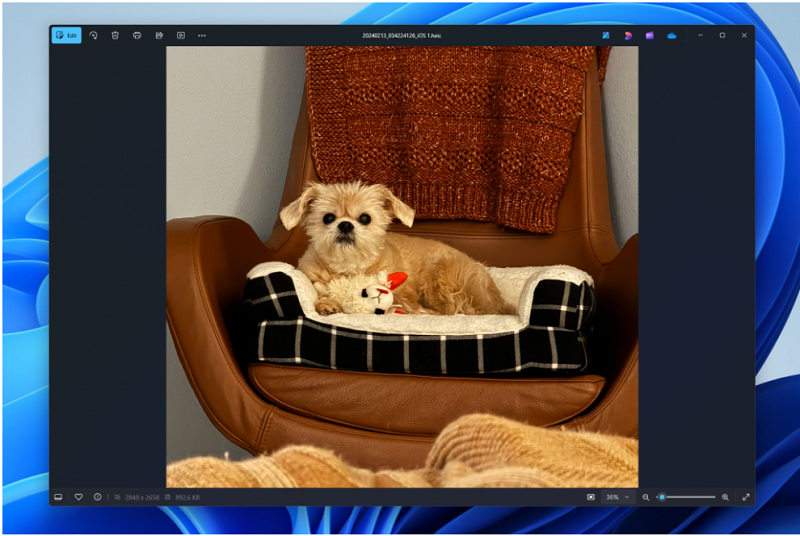 Windows 11 preview shakes up Photos app - Techzine Global
