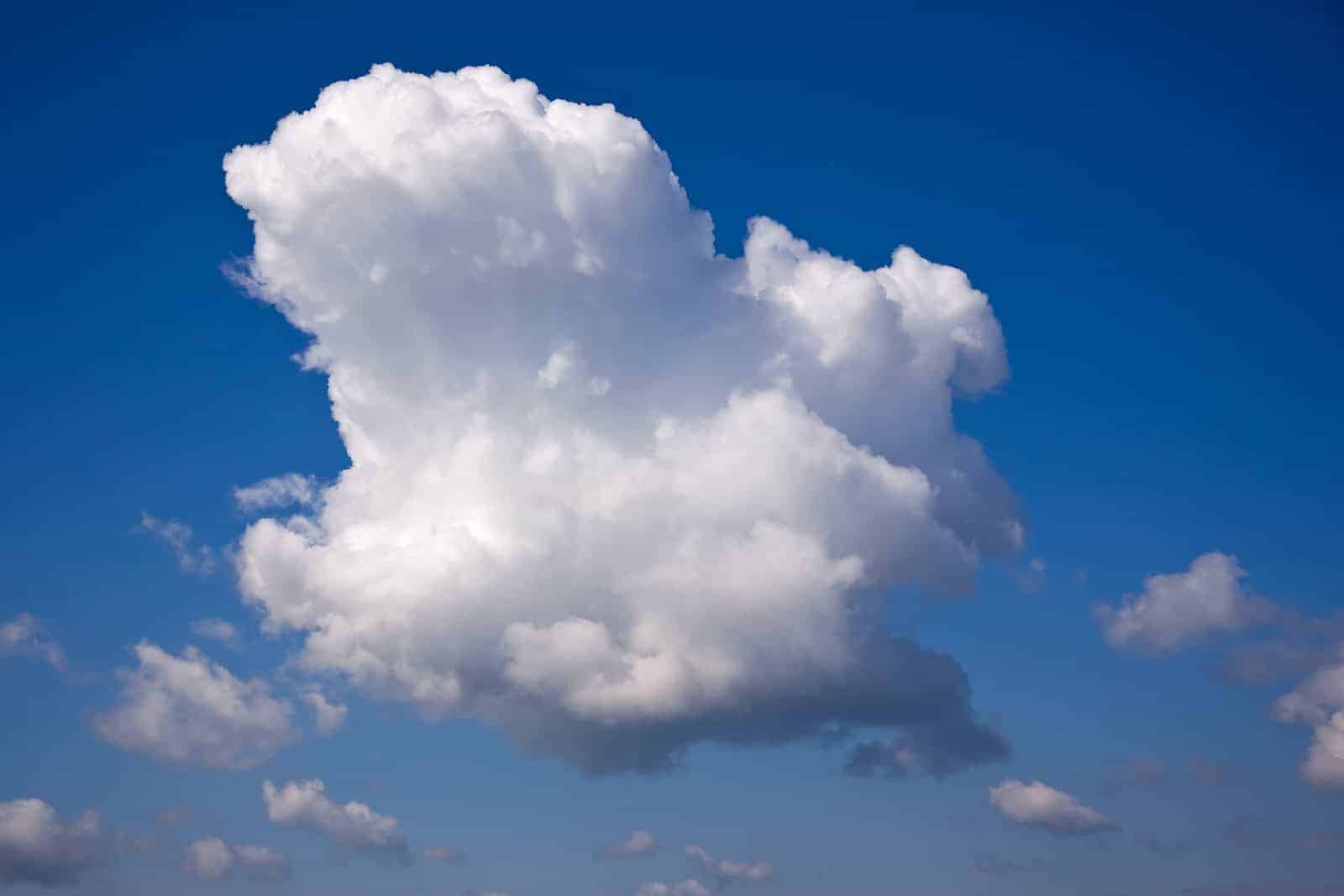 Vultr launches industry cloud for retail and media - Techzine Global